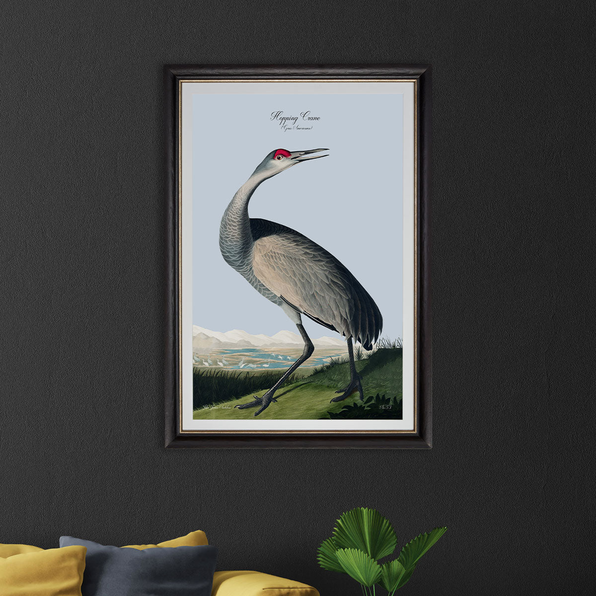Hooping Crane | John J. Audubon | Fine Art Print